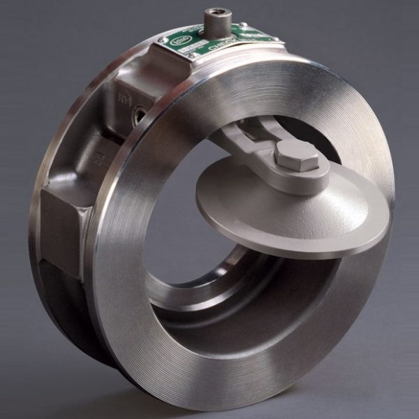 Check Valve Bray-Rite :BiogasWorld