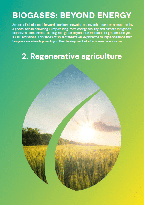 Discover the New EBA Factsheet – Biogases: Beyond Energy. Regenerative ...